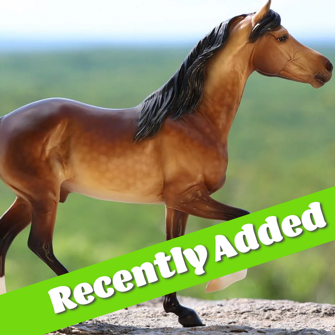 Recently Added – Pinehaven Ponies